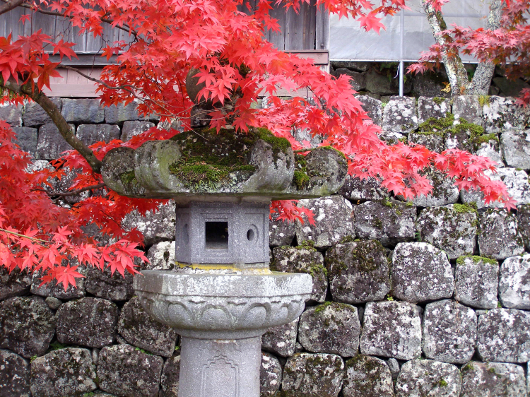nikko-lantern-red-lvs – Ruth Rosenfeld
