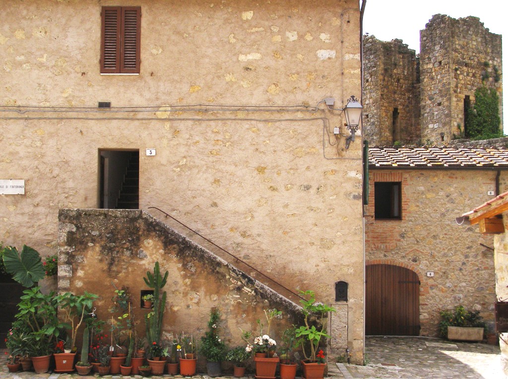 tusc-monterig-plants-towers-sm – Ruth Rosenfeld