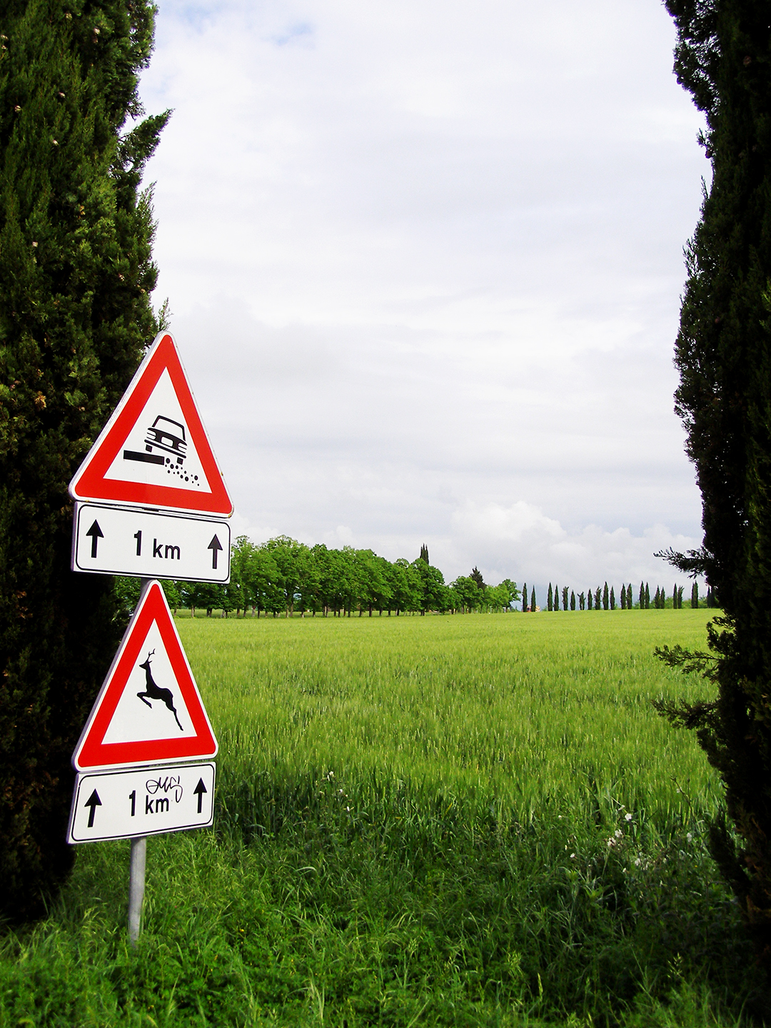 tusc-san-galgano-road-signs-sm – Ruth Rosenfeld