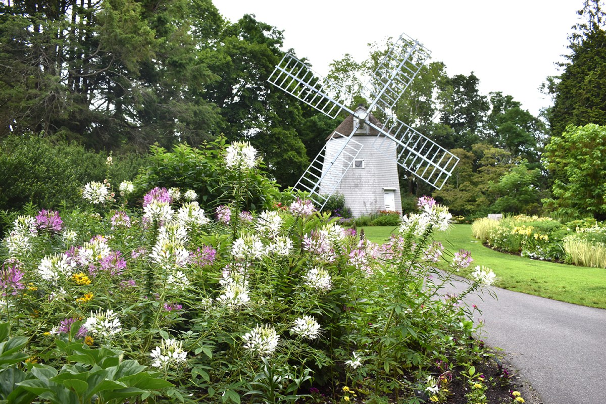 Heritage Gardens – Ruth Rosenfeld