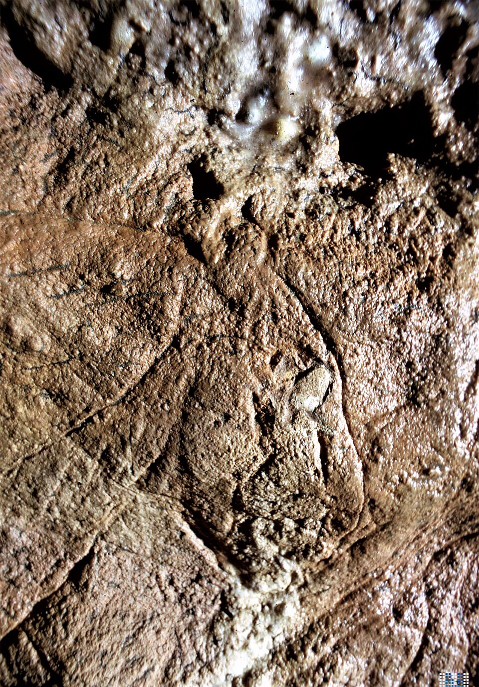 Les Combarelles, Pech-Merle caves – Ruth Rosenfeld