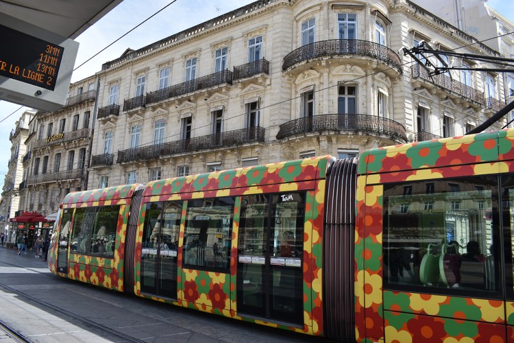 Montpellier – Ruth Rosenfeld